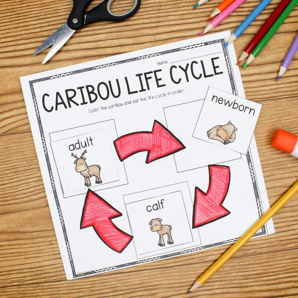 Caribou Activities | Teaching With Haley O'Connor
