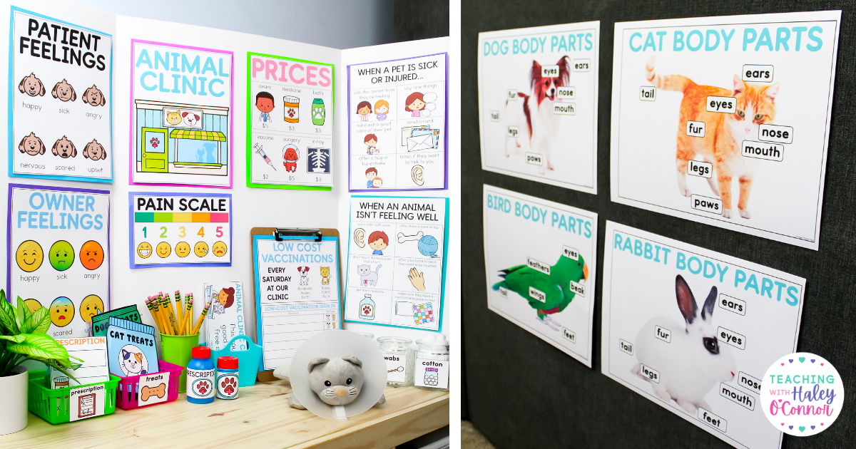 Picture Books for Your Veterinarian Dramatic Play Unit | Teaching With ...